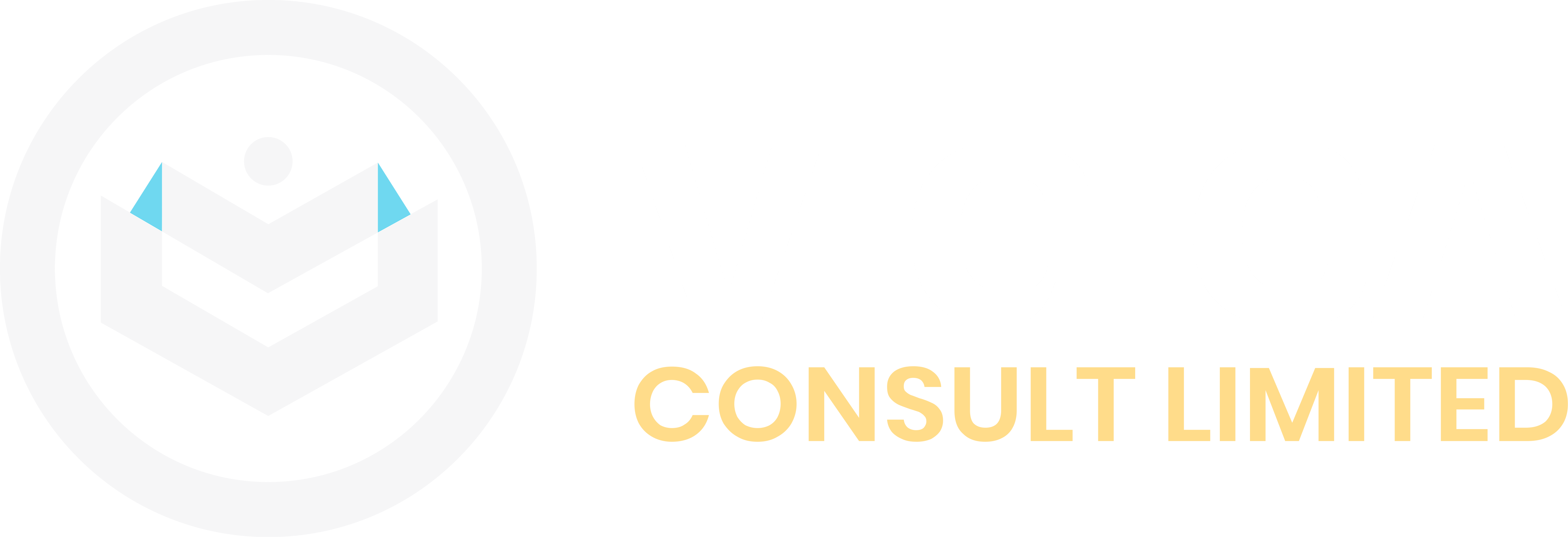 Vigica Consult Limited